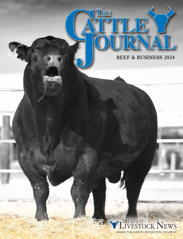 TSLN Special Sections