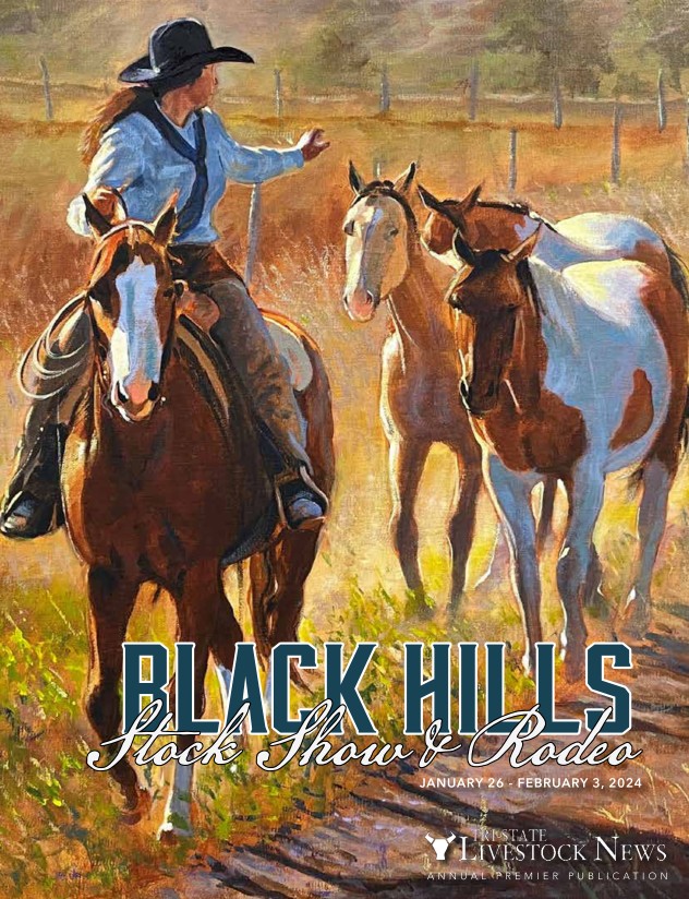 TSLN Special Sections