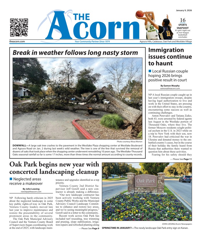 Acorn