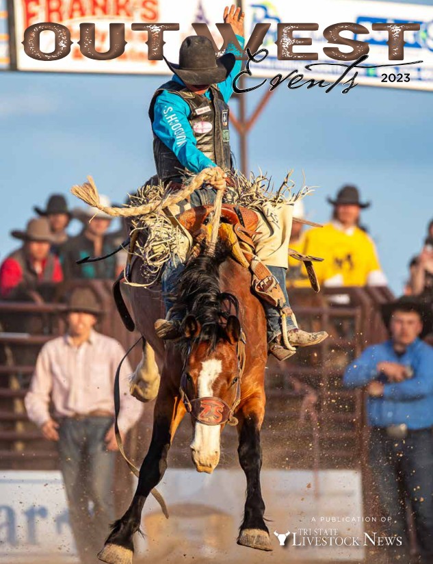 TSLN Special Sections